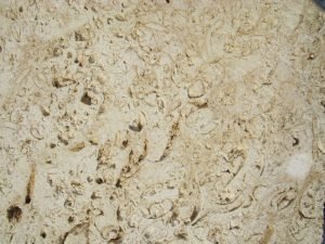 Materiales | Art On Mayan Stone